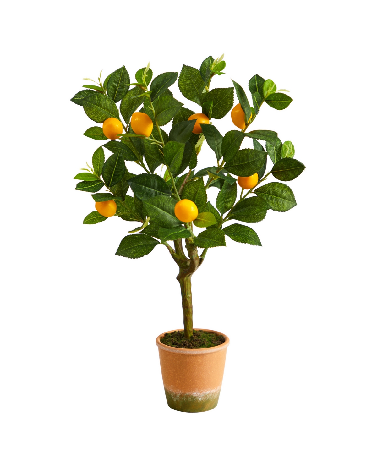 Click here for 24 Lemon Artificial Tree - Green prices