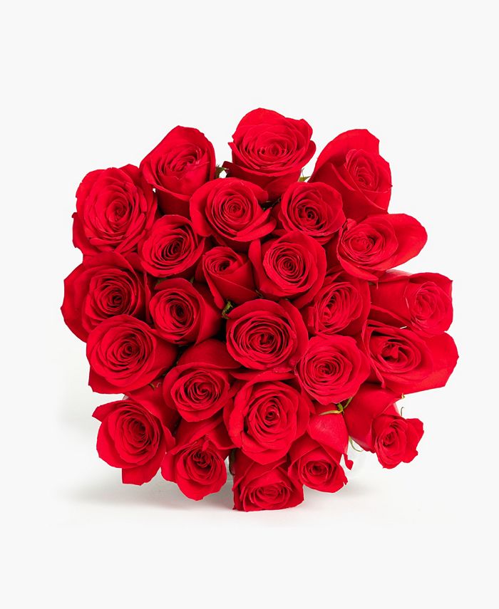 BloomsyBox Two Dozen Red Roses Fresh Flower Bouquet - Macy's