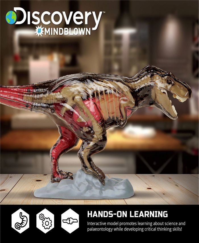Discovery #MINDBLOWN Discovery Mindblown Toy Anatomy T-Rex Kit - Macy's