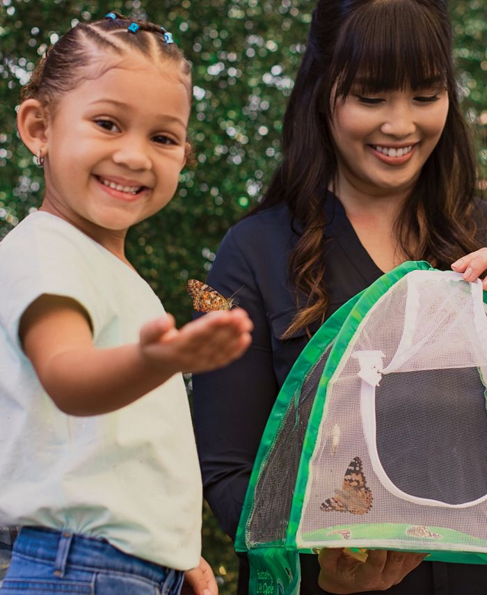 Insect Lore STEM Educational Butterfly Life Cycle Growing Kit - Macy's