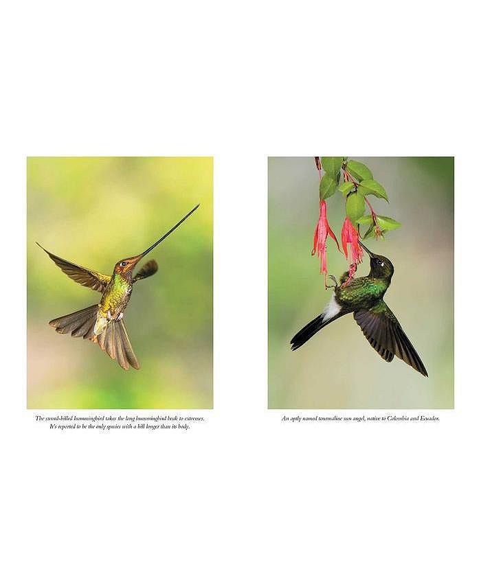 Barnes & Noble The Hummingbirds' Gift - Wonder, Beauty, and Renewal on ...