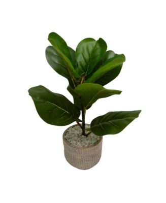 Elements Artificial Fiddlehead Plant in Ceramic Pot, 15" - Macy's