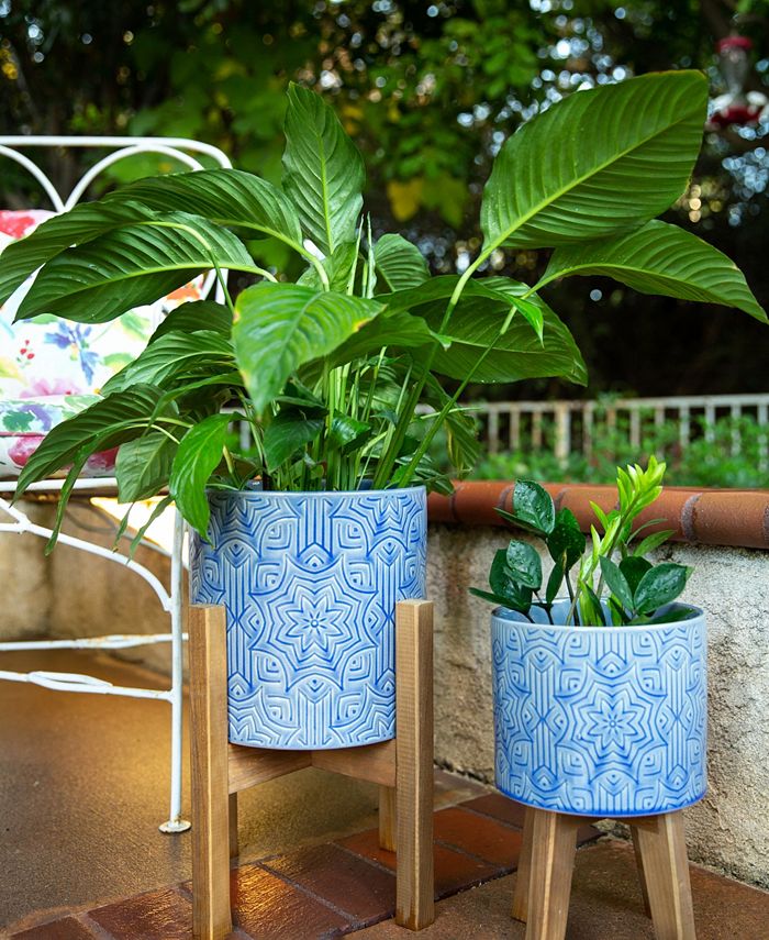 Flora Bunda Star Ceramic Planter on Wood Stand, Set of 2 - Macy's