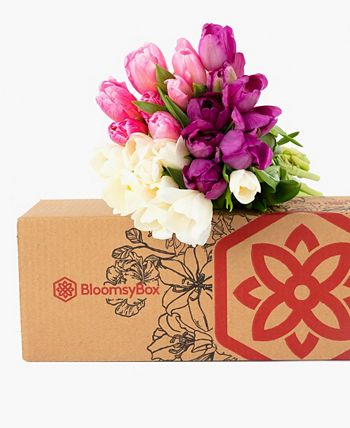 BloomsyBox Sweet Tulips Fresh Flower Bouquet - Macy's