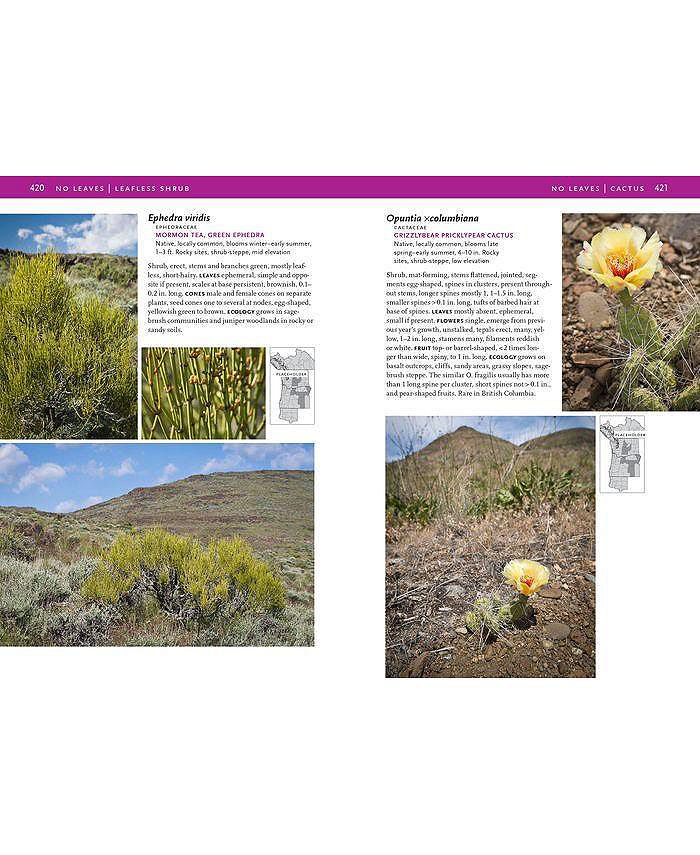 Barnes & Noble Trees and Shrubs of the Pacific Northwest by Mark Turner - Macy's