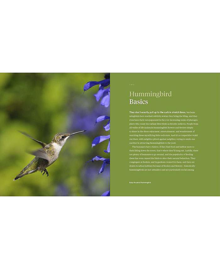 Barnes & Noble The Hummingbird Handbook - Everything You Need to Know ...