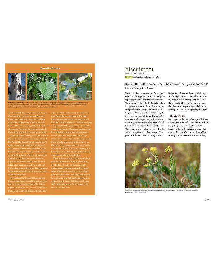 Barnes & Noble Pacific Northwest Foraging: 120 Wild and Flavorful Edibles from Alaska ...