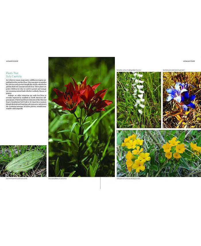 Barnes & Noble Native Plants of the Midwest: A Comprehensive Guide to ...
