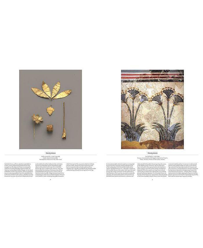 Barnes & Noble Flower: Exploring the World in Bloom by Phaidon - Macy's