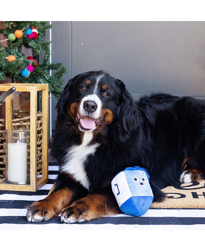 Fringe Studio Go for a Spin Squeaky Dreidel Dog Toy - Macy's