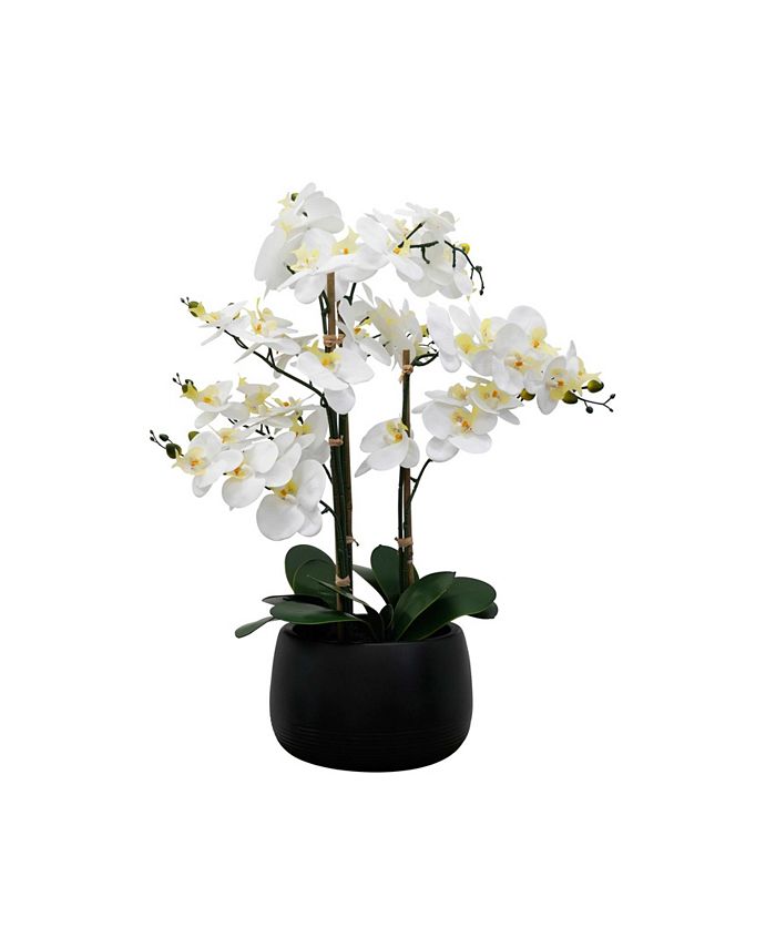 Nature's Elements Tabletop Artificial Orchid Arrangement in Ceramic, 32 ...