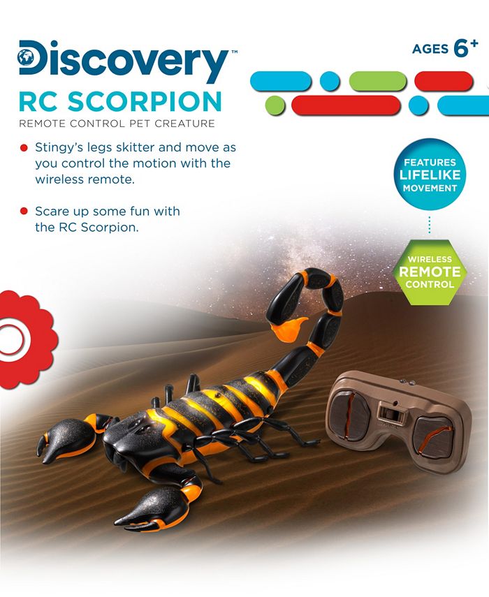 Discovery Kids RC Scorpion, Glow In The Dark Body, Wireless Remote ...