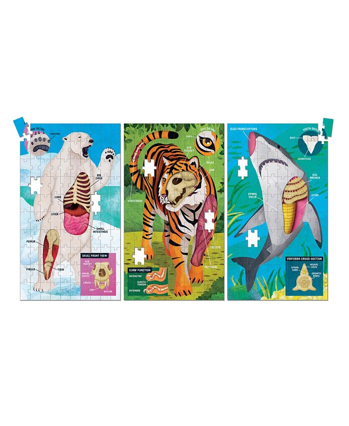 Mudpuppy Anatomy Science Plants and Animals Puzzle Set - Macy's