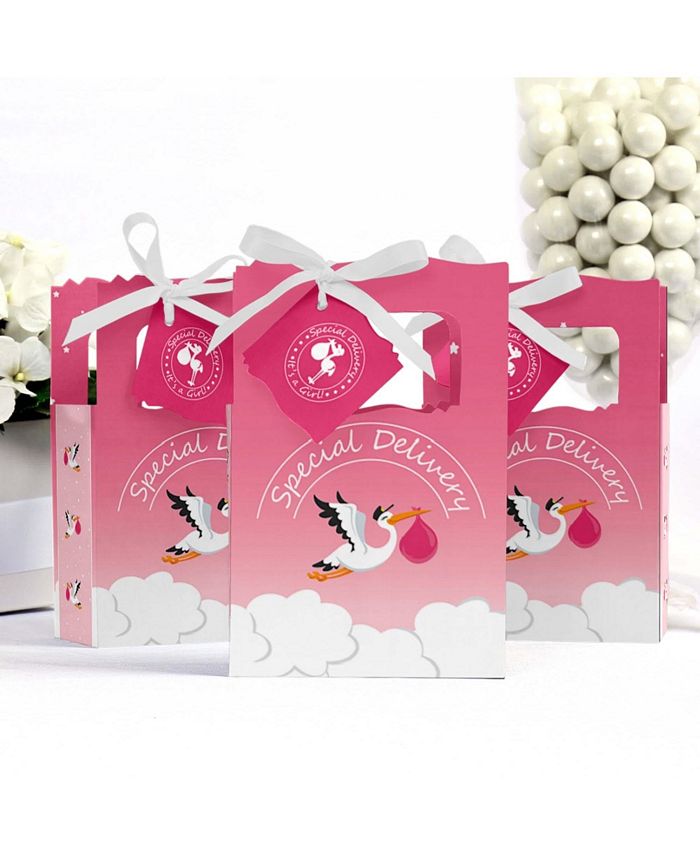 Big Dot of Happiness Girl Special Delivery - Pink It's a Girl Stork ...
