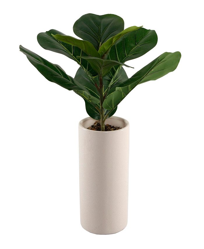 Flora Bunda Fiddle in Textured Ceramic Vase, 20" - Macy's
