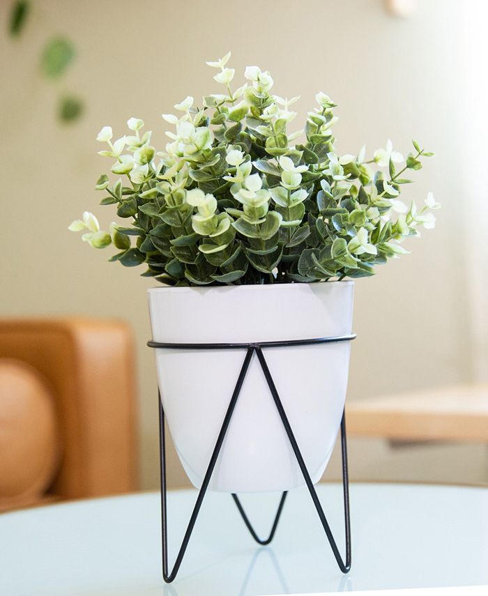 Flora Bunda Eucalyptus in Wh Pot in Bk Stand, 12" - Macy's