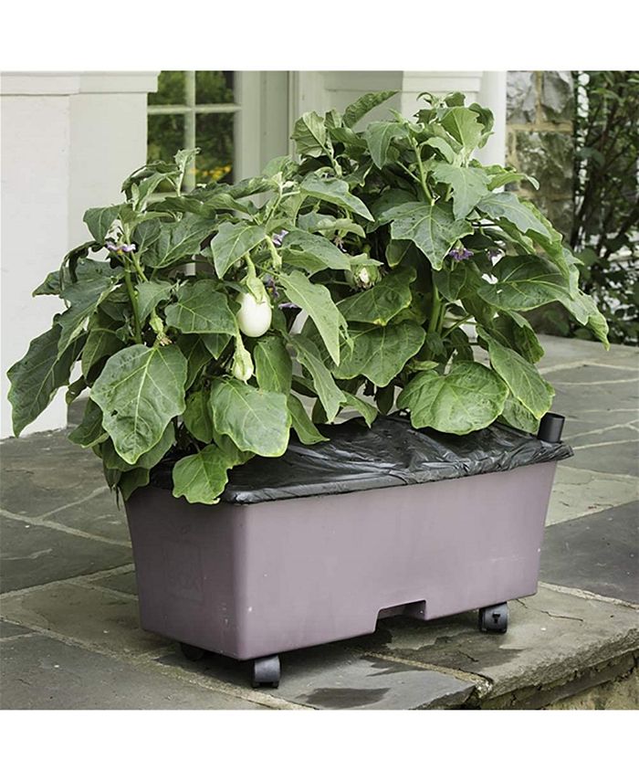 Novelty (80156) EarthBox Natural Garden Kit - Eggplant - Macy's