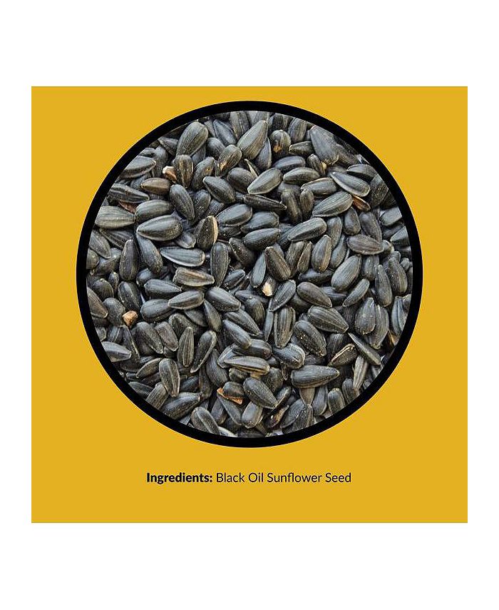 GreenView Lyric Oil Sunflower Bird Seed 10lb - Macy's