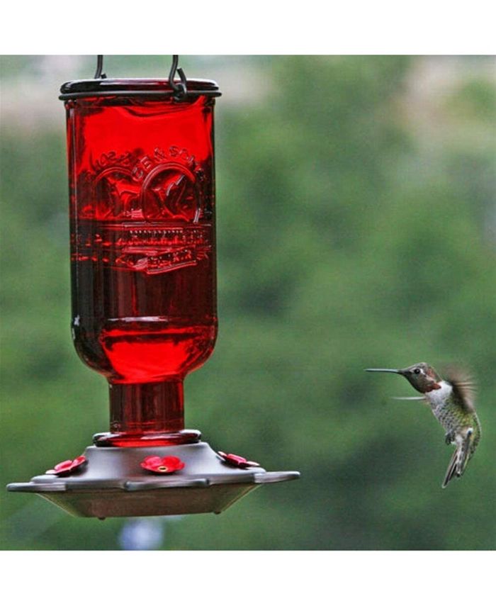 More Birds Hummingbird Feeder 13 Oz Nectar Capacity - Macy's