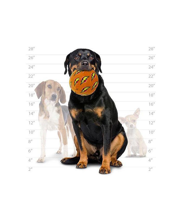 Mighty Ball Large Orange, Dog Toy - Macy's