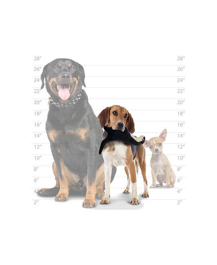 Mighty Jr Safari Meercat, Dog Toy - Macy's