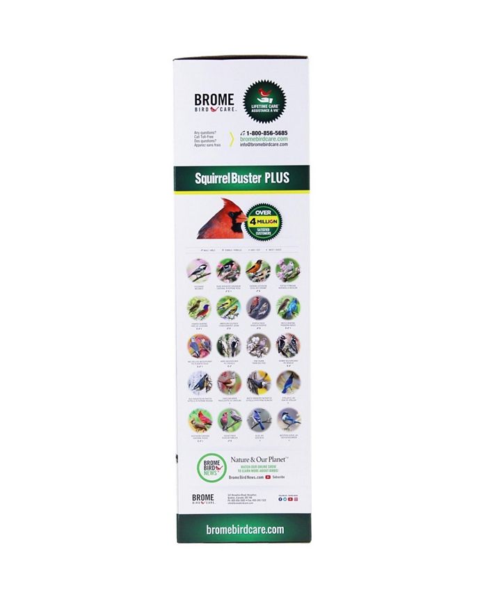 Brome Squirrel Buster Plus Bird Feeder w/ Cardinal Perch Ring - Macy's
