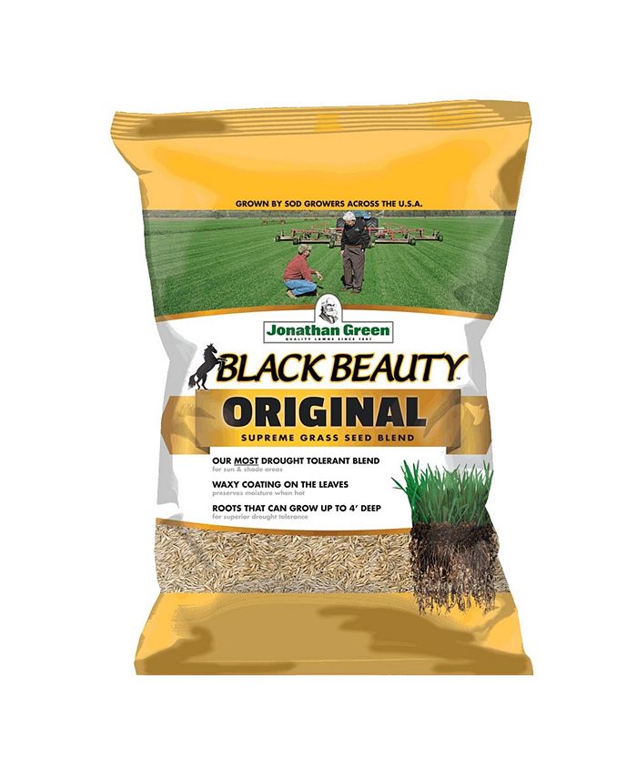 Jonathan Green (#10317) Black Beauty Original Grass Seed, 15 lb bag ...