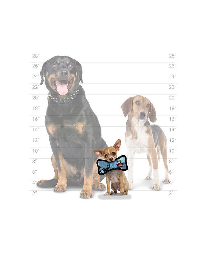 Tuffy Jr Bone Camo Blue, 2-Pack Dog Toys - Macy's