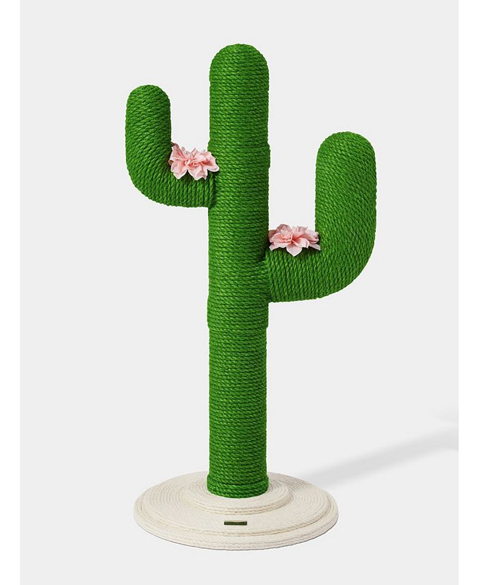 VETRESKA Oasis Cactus Cat Scratching Post, Cactus Cat Scratchers Kitten ...