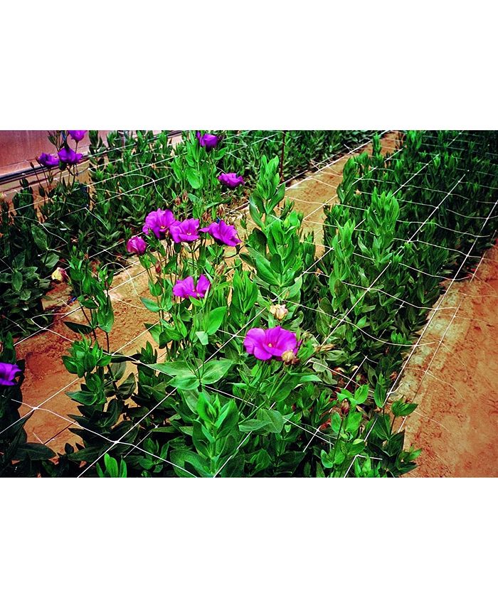 Tenax Hortonova Plastic Plant Trellis Net, White 4' x 100 - Macy's