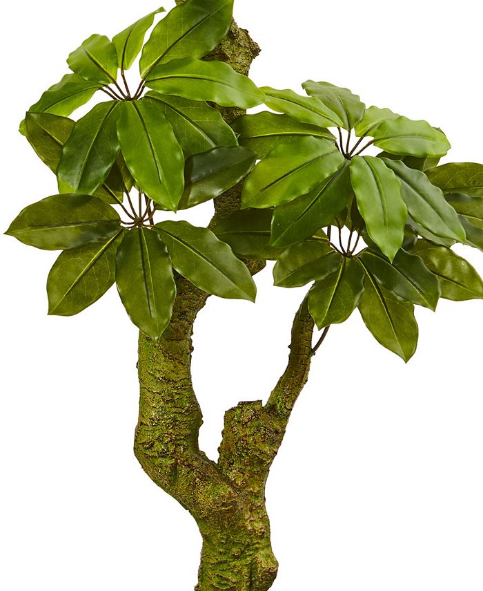 Nearly Natural 6' Scheffler Indoor/Outdoor Artificial Tree - Macy's