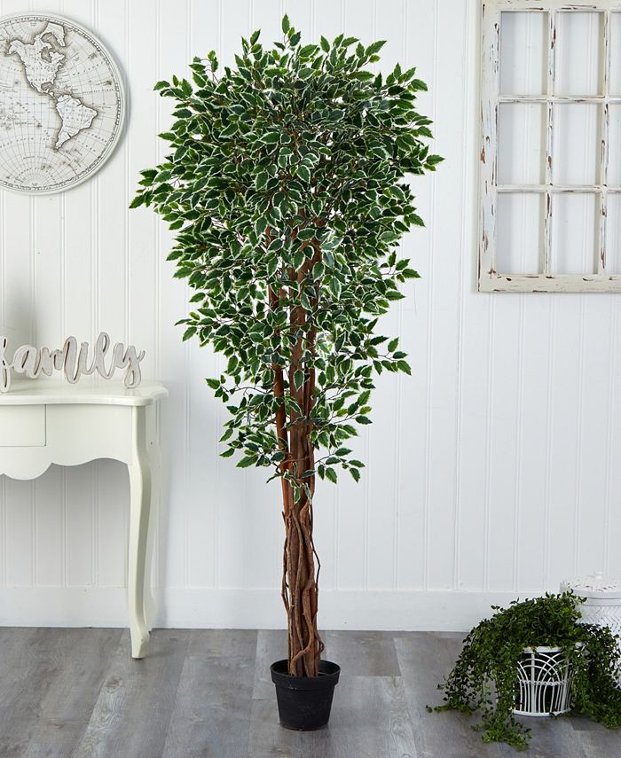 Nearly Natural 70" Variegated Ficus Artificial Tree UV Resistant Indoor ...