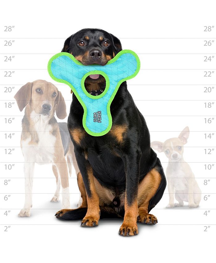 DuraForce Triangle Ring Tiger Blue-Green, 2-Pack Dog Toys - Macy's