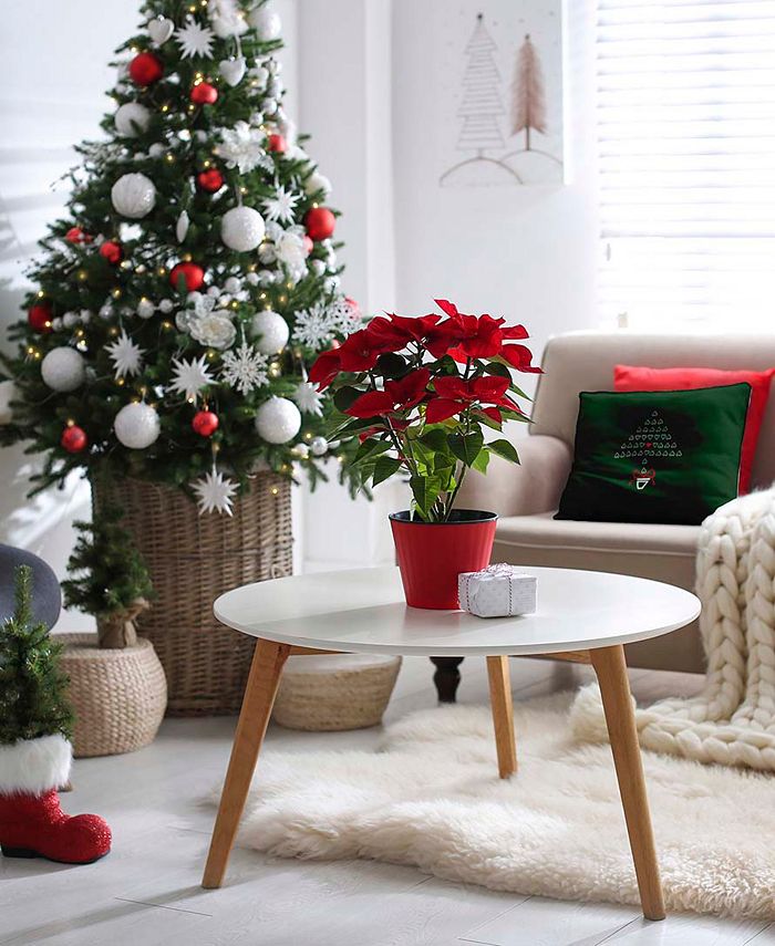 E by Design 16 Inch Green and Red Decorative Christmas Throw Pillow ...