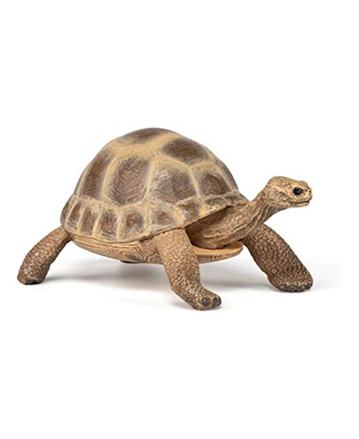 Papo Tortoise Animal Figure 50264 - Macy's