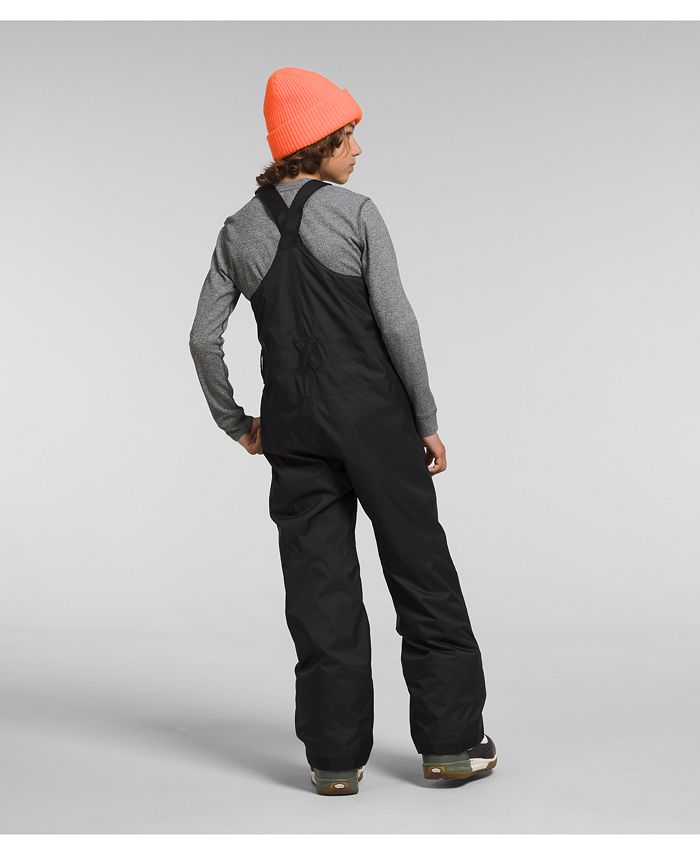 The North Face Big Boys Heavyweight Freedom Insulated Ski Bib - Macy's