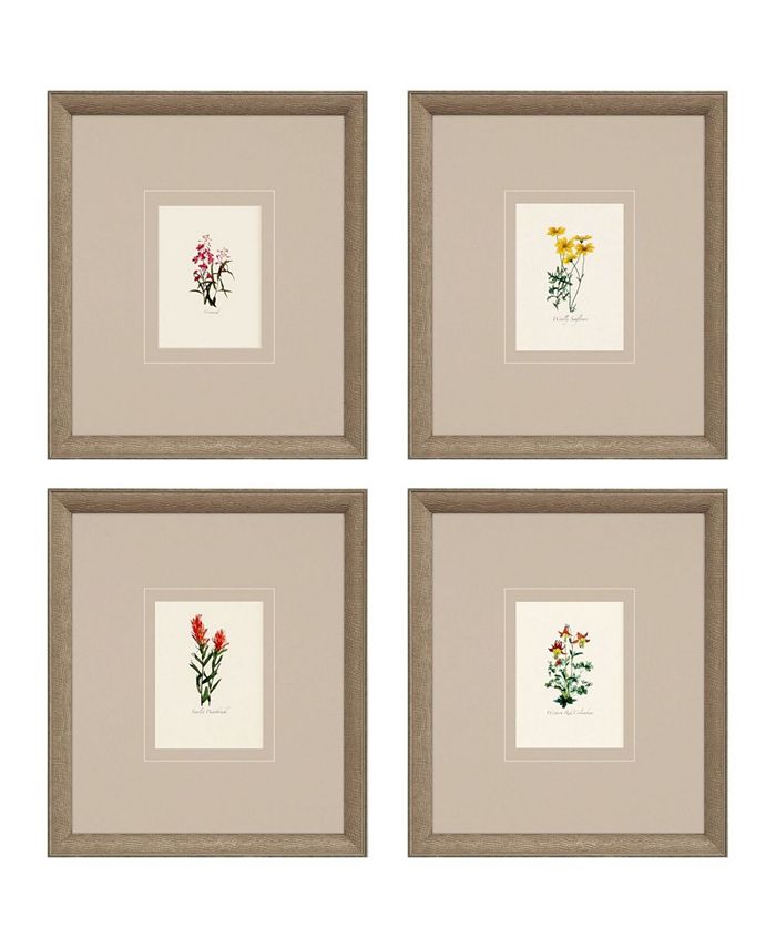 Paragon Picture Gallery Western Wildflower Framed Art, Set of 4 - Macy's