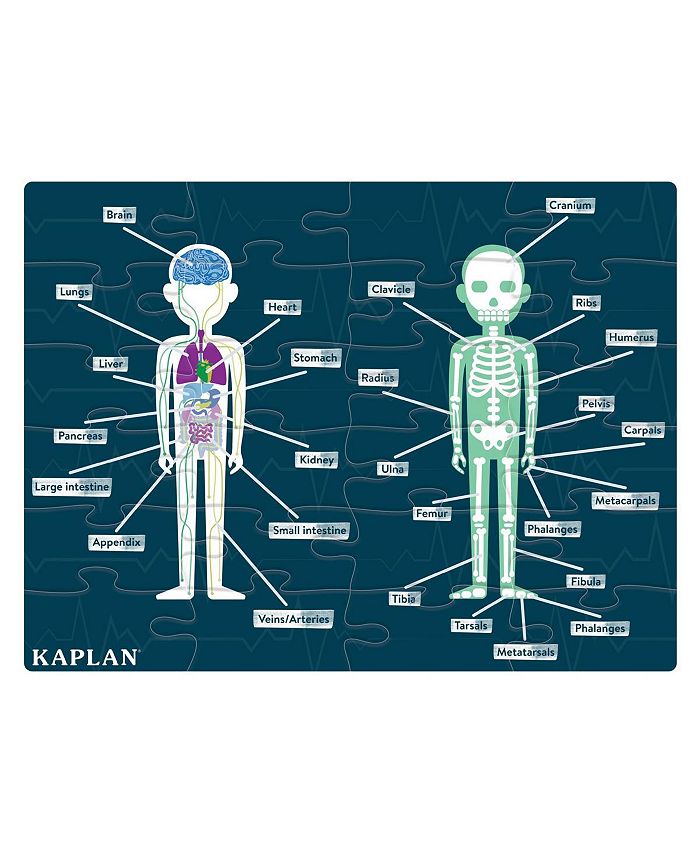 Kaplan Early Learning Human Body Puzzle - 24 Pieces - Macy's