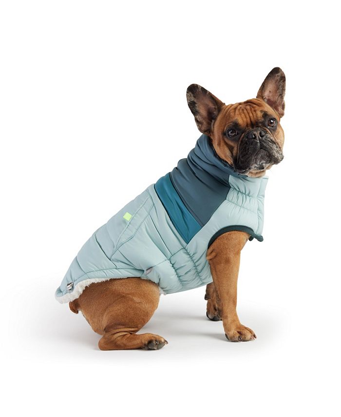 GF Pet Retro Dog Puffer Jacket - Macy's