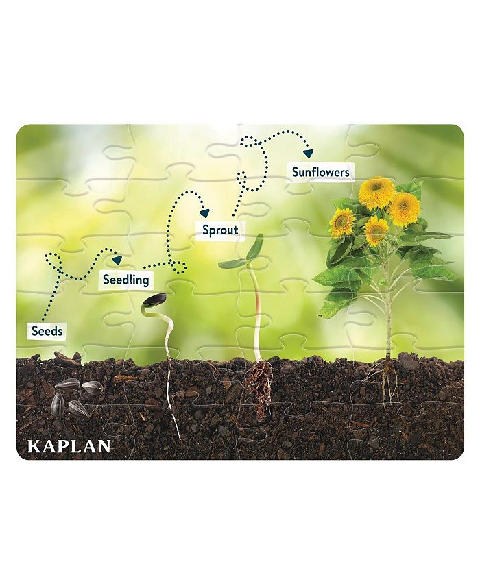 Kaplan Early Learning STEM Learning Sunflower Life Cycle Floor Puzzle ...