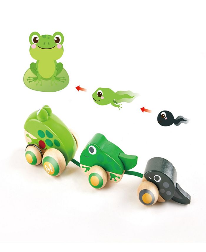 Hape Pull-Along Frog Family Toddler Toy - Macy's