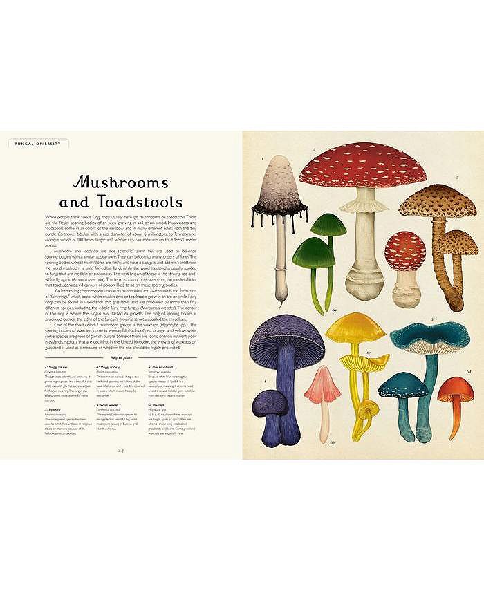 Barnes & Noble Fungarium- Welcome to the Museum by Ester Gaya - Macy's