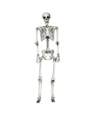 5.4 Feet Halloween Skeleton Life Size Realistic Full Body Hanging