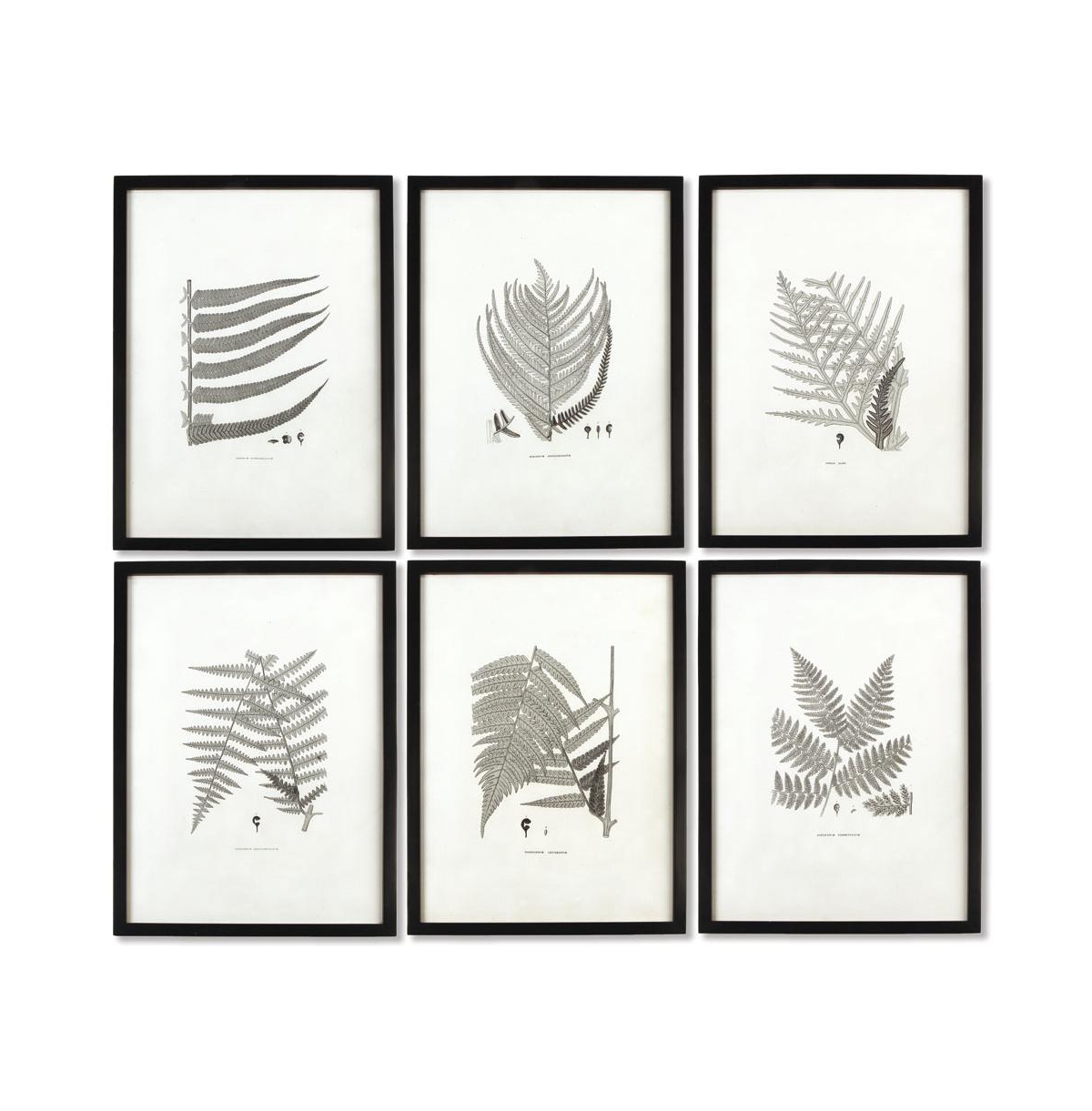 Click here for Framed Gray-Tone Fern Prints Set of 6 - Black prices
