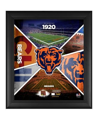 Chicago Bears Framed 15" x 17" Team Impact Collage with a Piece of Game ...
