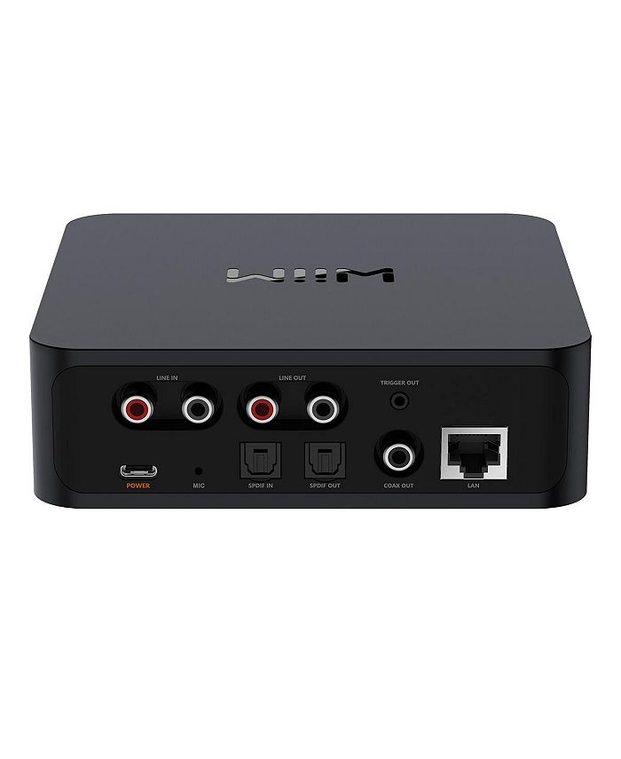 WiiM Pro Multiroom Streamer and Preamp with Built-In DAC, AirPlay 2 ...