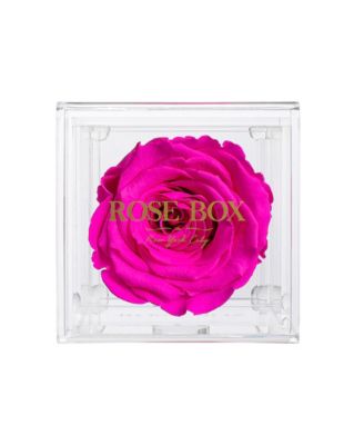 Rose Box NYC Jewelry box of Neon Pink Long Lasting Preserved Real Rose ...