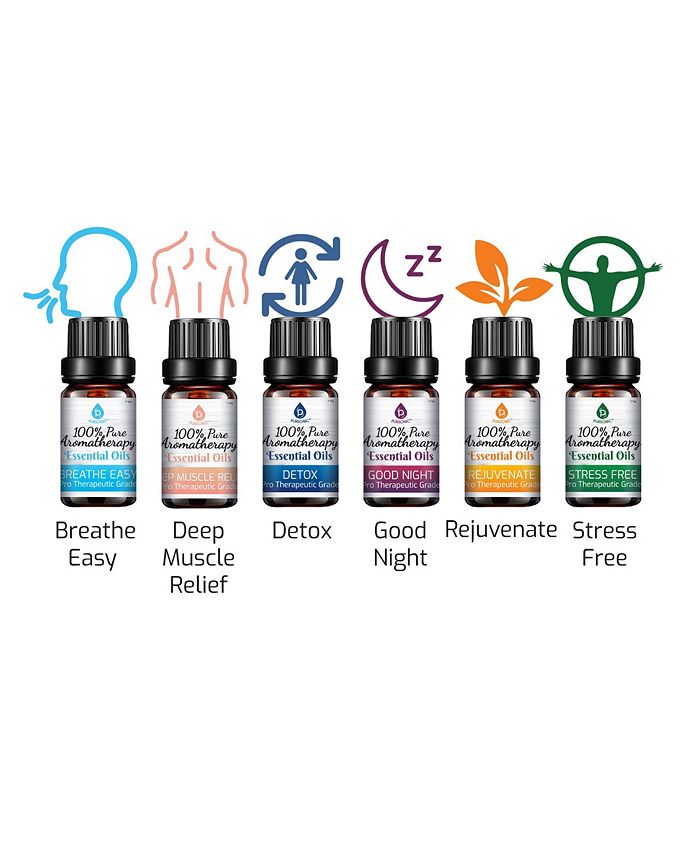 Pursonic 6 Pack Of 100 Pure Essential Aromatherapy Oils Blends Macys