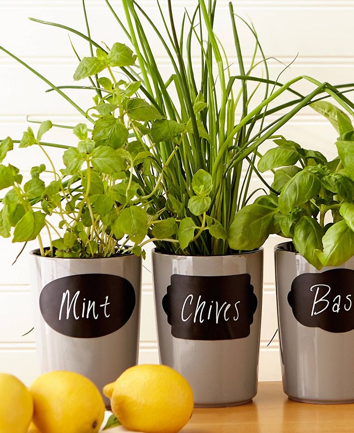 RSVP International Silicone 31 Piece 3.5 x 2"Spice Label and Chalk ...