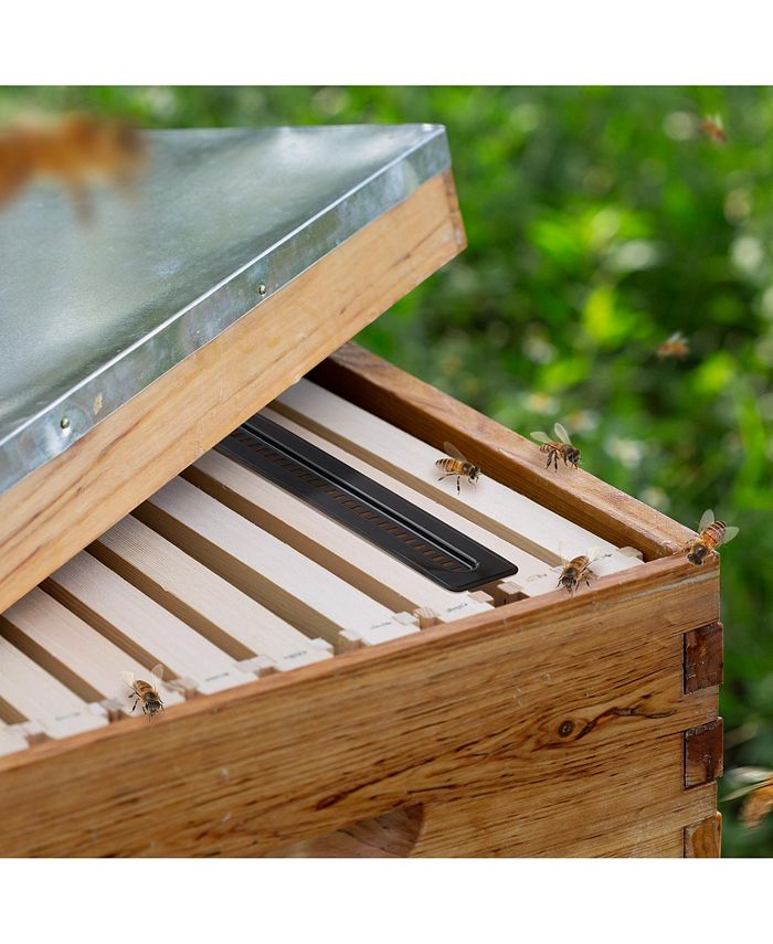 Honey Keeper Beehive Beetle Blaster Small Hive Beekeeping Tools, Pk of ...